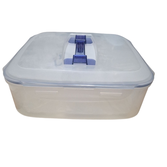 Lock & Lock | Kitchen | New Lock Lock Appetizer Handy Container With ...